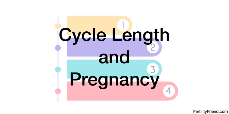 Cycle Length and Pregnancy